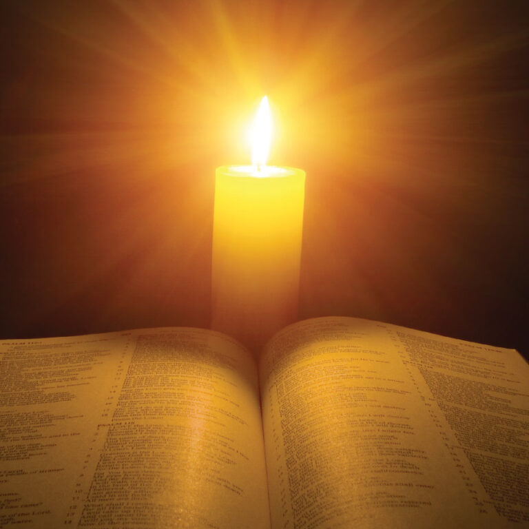 Elaine M. Conley - CR Lyons & Sons Funeral Directors